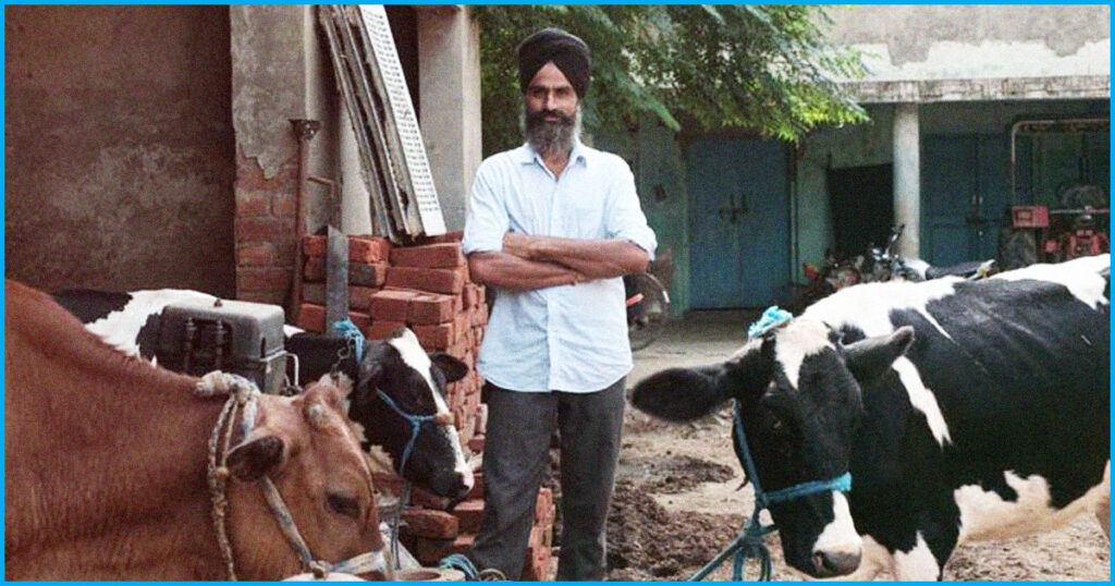 My Story: Once I Was A Poor Dairy Farmer Who Couldn't Provide For My ...