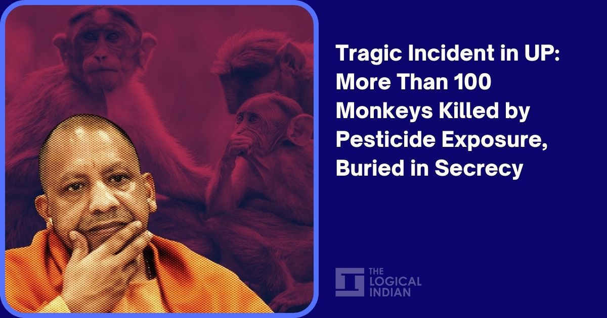 Tragic Incident in UP: More Than 100 Monkeys Killed by Pesticide ...