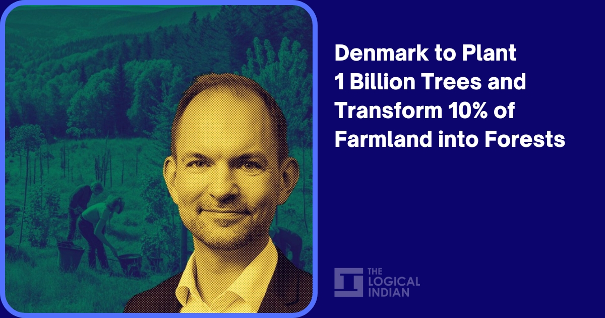 Denmark to Plant 1 Billion Trees and Transform 10% of Farmland into ...