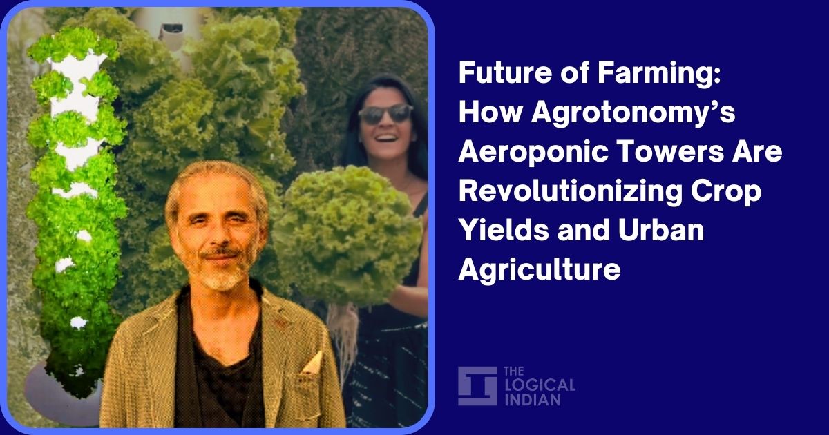Future of Farming: How Agrotonomy’s Aeroponic Towers Are ...