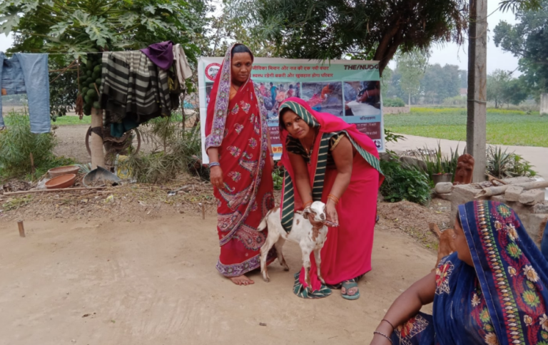 The/Nudge Institute: Empowering Lives, Transforming Futures - The ...