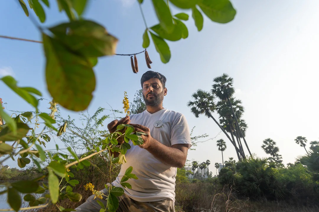 From Corporate Desk to Conservation Mission: How Arun Krishnamurthy Is ...