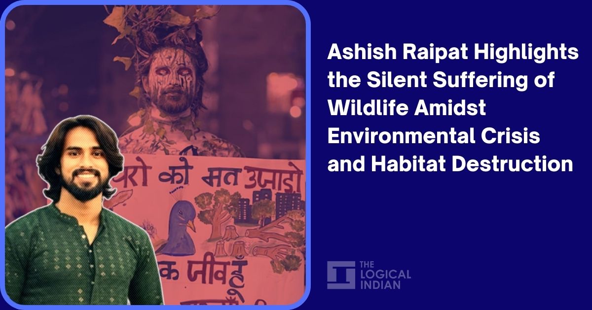 Ashish Raipat Highlights the Silent Suffering of Wildlife Amidst ...