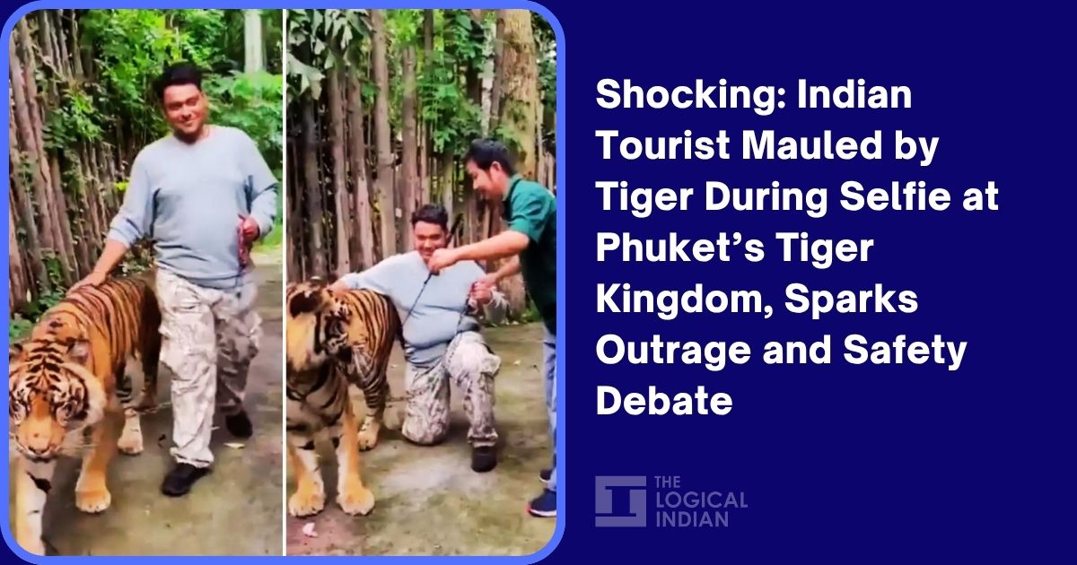 Shocking: Indian Tourist Mauled by Tiger During Selfie at Phuket’s ...