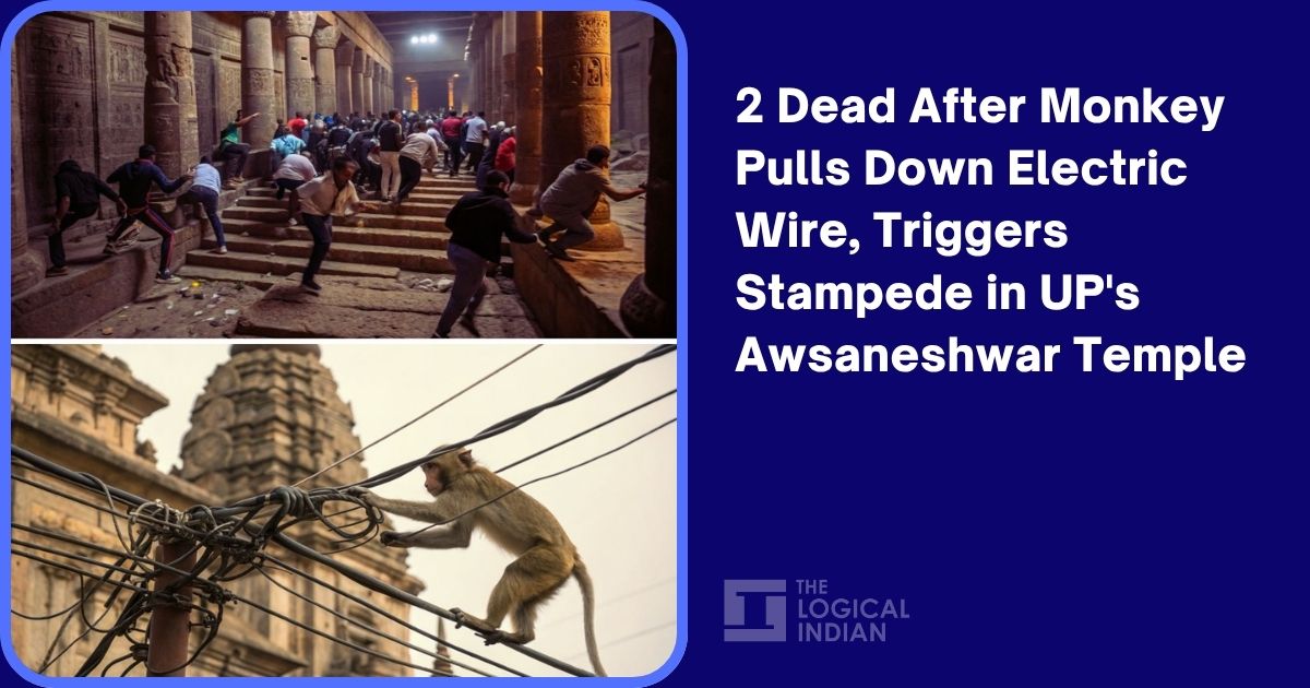 2 Dead After Monkey Pulls Down Electric Wire, Triggers Stampede in UP's ...