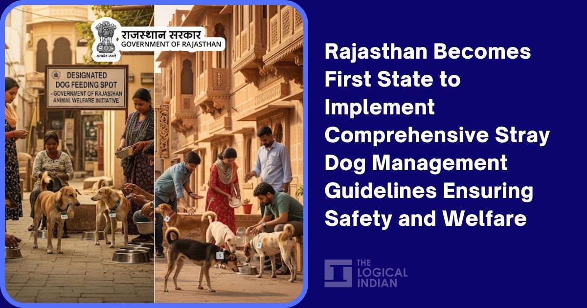 Rajasthan Becomes First State to Implement Comprehensive Stray Dog ...