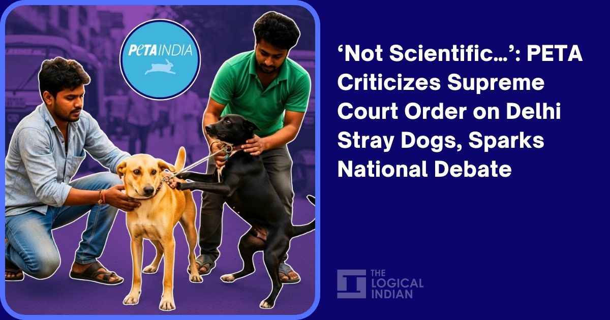 'Not Scientific…': PETA Criticizes Supreme Court Order on Delhi Stray ...
