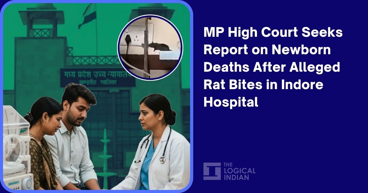 MP High Court Seeks Report on Newborn Deaths After Alleged Rat Bites in ...