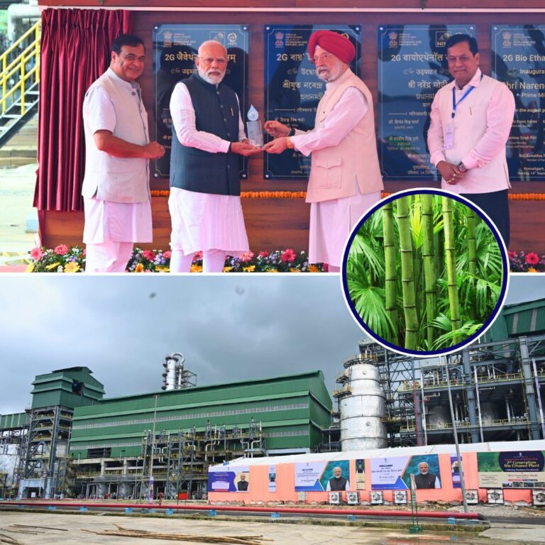 India’s First Bamboo-Based Ethanol Plant in Assam Harnesses North East ...