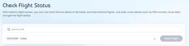 Booked on IndiGo? Avoid Airport Chaos - Here's How To Check Live Status ...