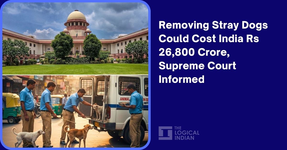 Removing Stray Dogs Could Cost India Rs 26,800 Crore, Supreme Court ...