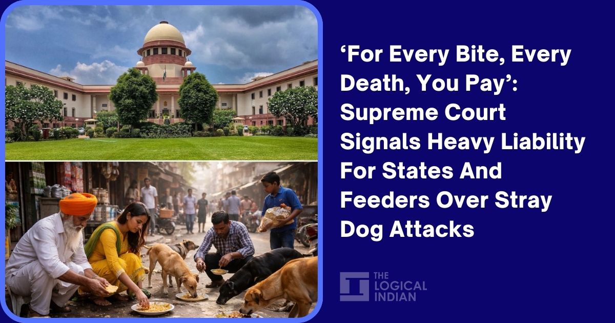 'For Every Bite, Every Death, You Pay': Supreme Court Signals Heavy ...
