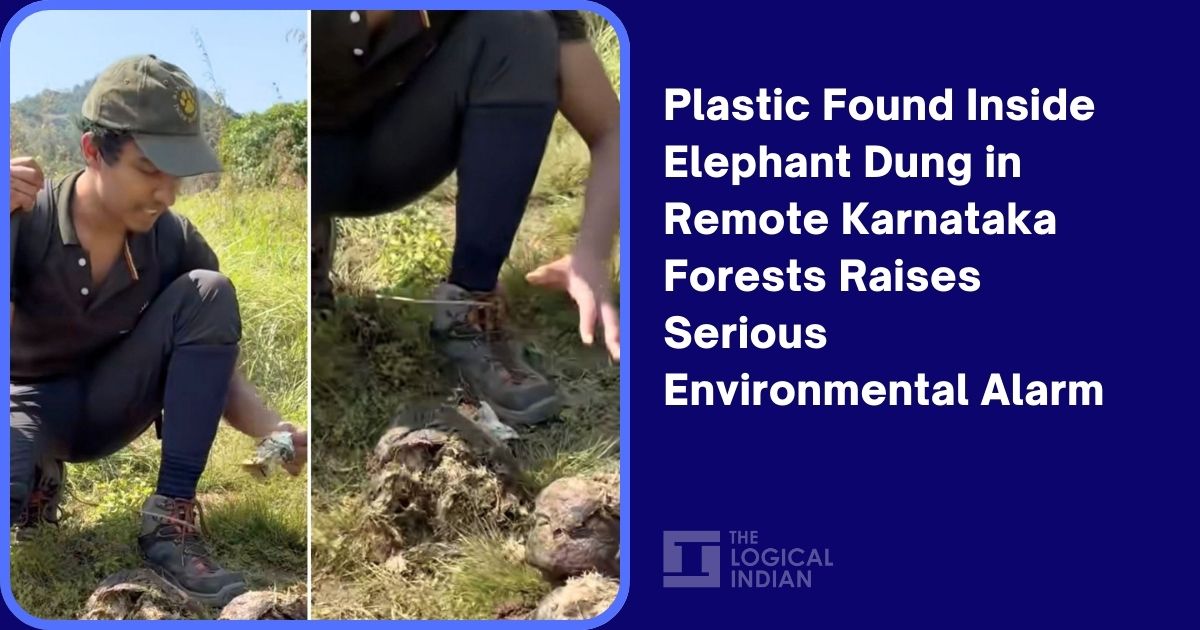 Plastic Found Inside Elephant Dung in Remote Karnataka Forests Raises ...