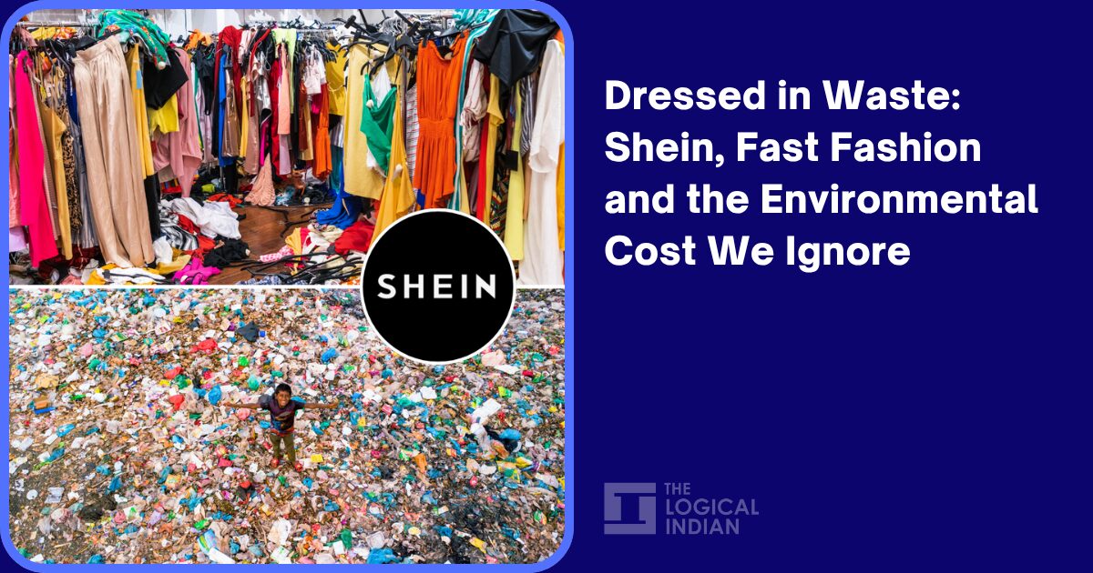 Dressed in Waste: Shein, Fast Fashion and the Environmental Cost We ...
