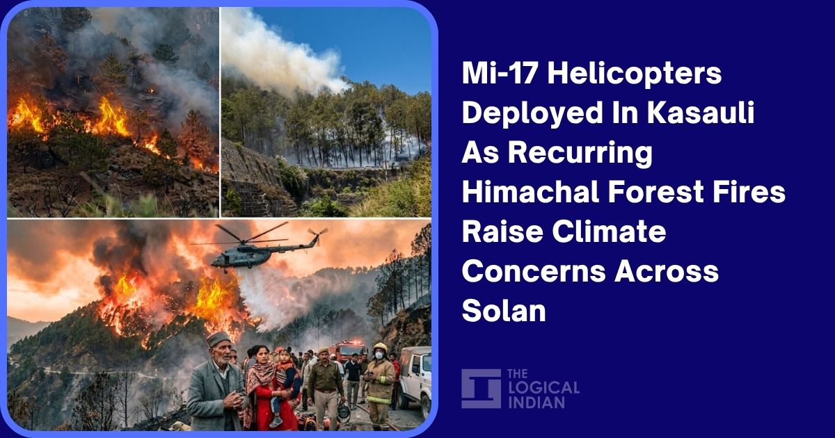 Mi-17 Helicopters Deployed In Kasauli As Recurring Himachal Forest ...