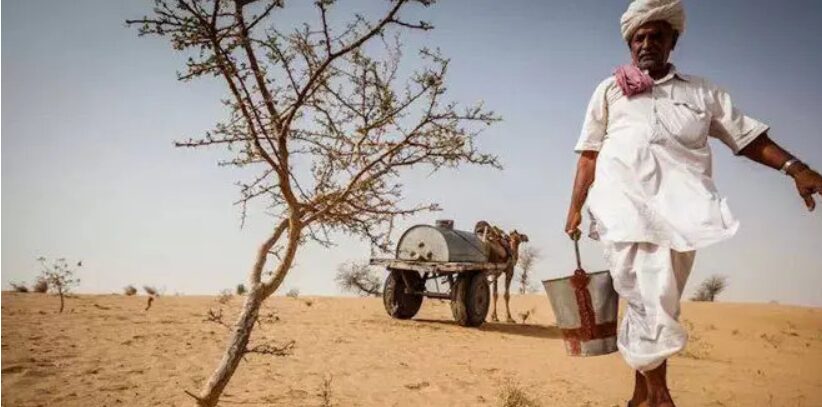 Rajasthan Farmer Ranaram Bishnoi Plants 27,000 Trees, Transforming ...
