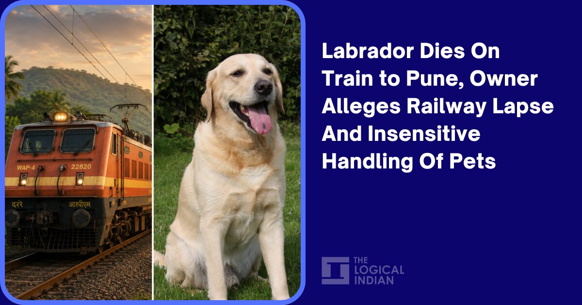 Labrador Dies On Train To Pune, Owner Alleges Railway Lapse And ...