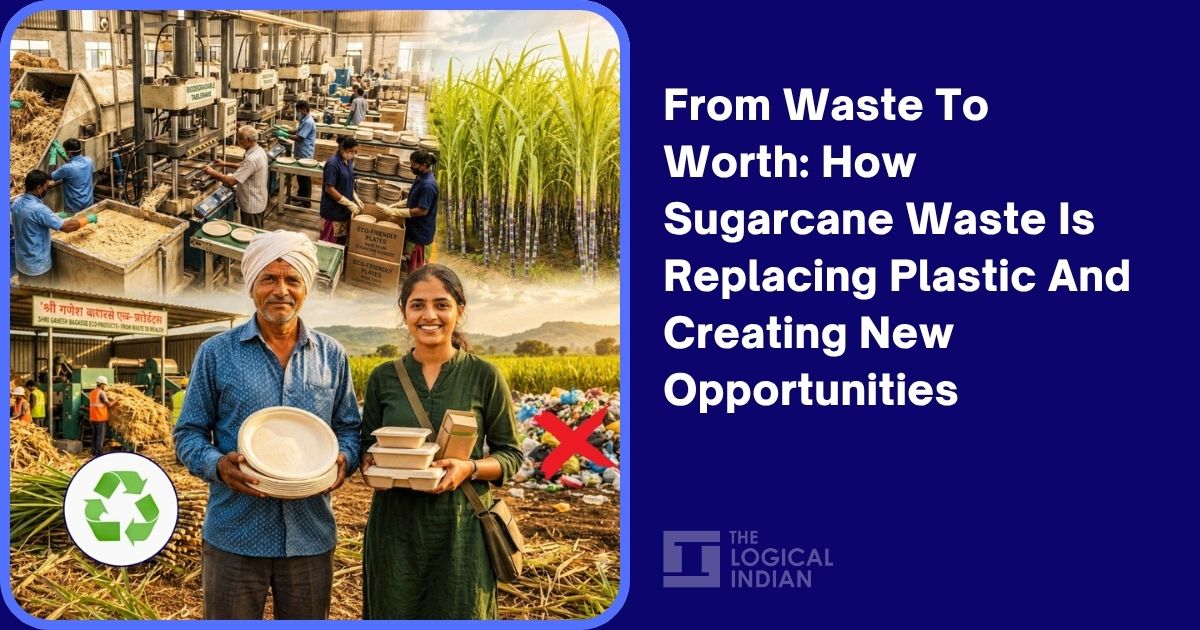 From Waste To Worth: How Sugarcane Waste Is Replacing Plastic And ...